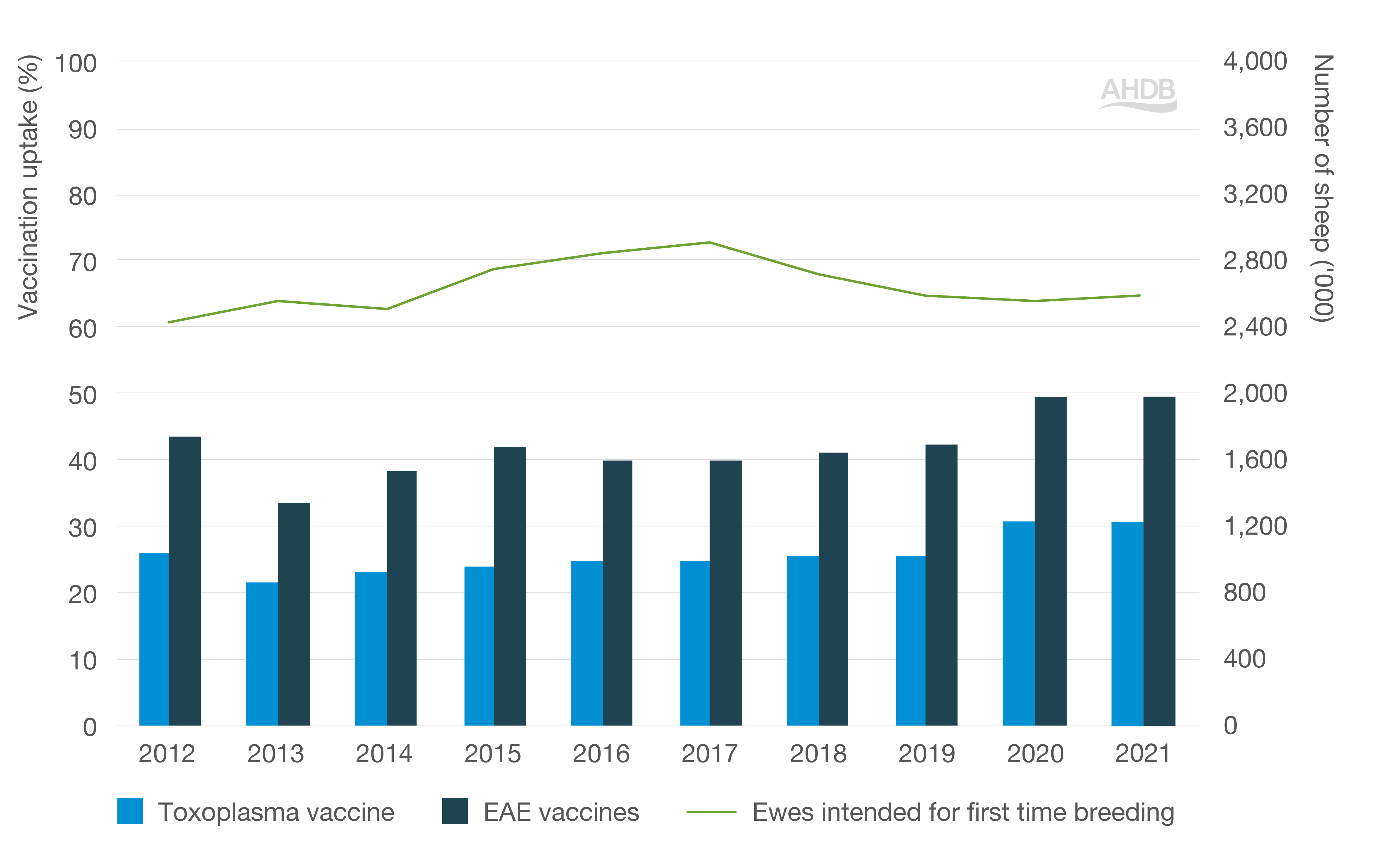 Abortion vaccines in sheep | AHDB